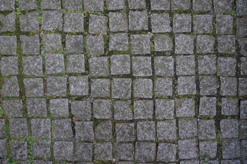Checkered Stone Garden and Azalea in Kyoto, JAPAN. Stock Image - Image ...