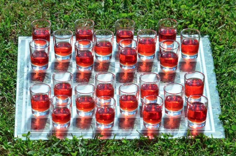 Checkers game for drinkers stock image. Image of figures - 25567957