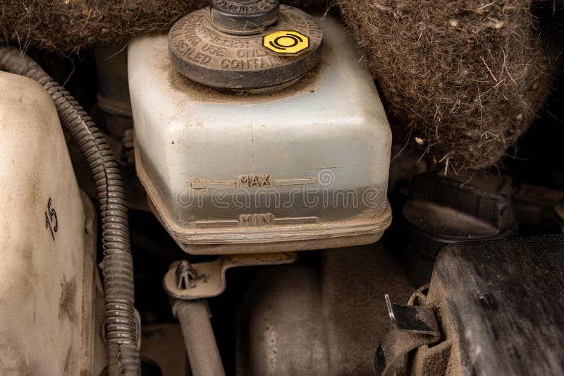 Checking Brake Fluid Level in Car Engine Bay Stock Photo - Image of ...