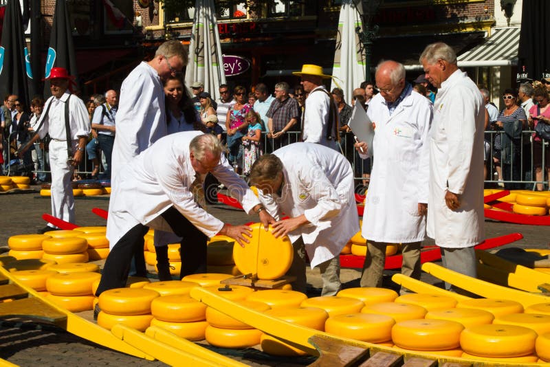 Cheese Quality Inspection in a Quality Control Laboratory Stock Photo ...