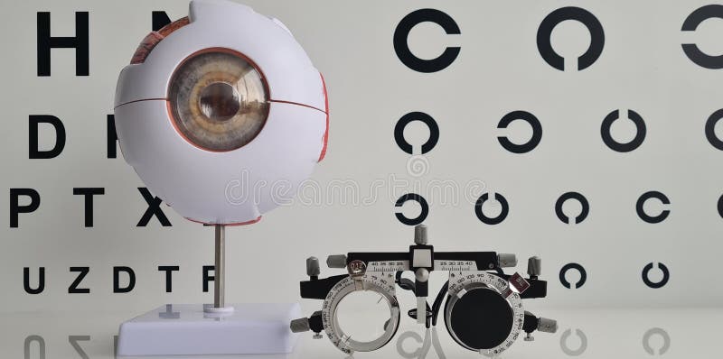 Checking Diagram of Vision and Anatomy of Eye Stock Image - Image of ...