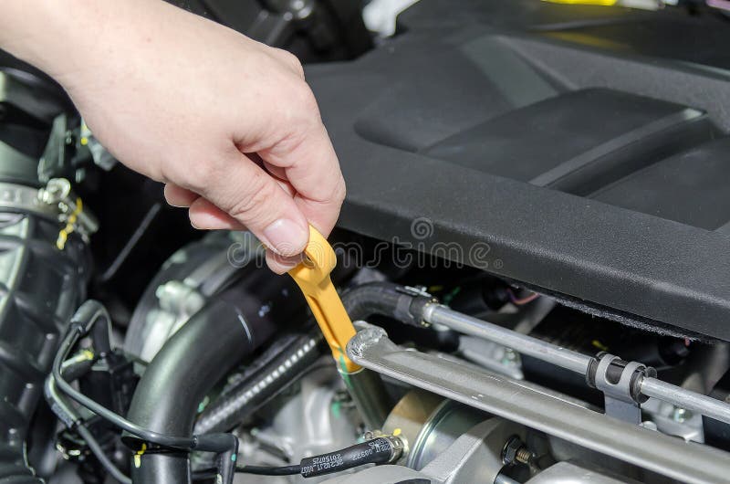 Engine oil stock photo. Image of issue, motor, handy - 14535034