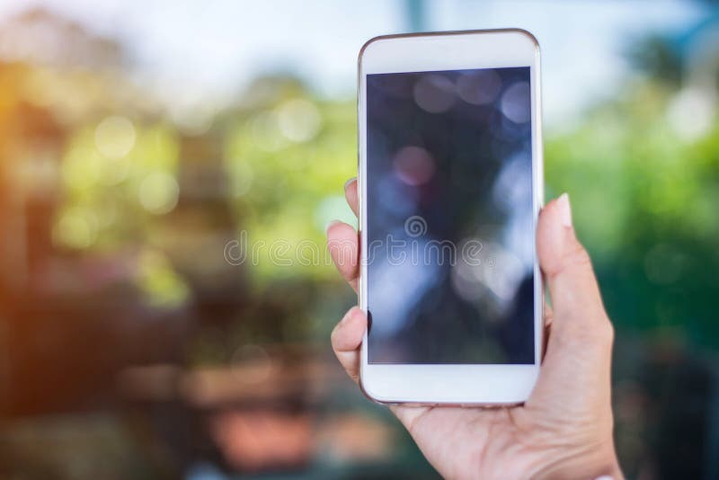 Businesswoman Sending Message with Smartphone in Office Stock Image ...