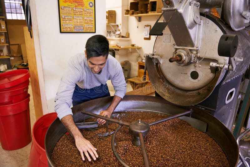 Checking His Roast. a Young Man Working with Raw Coffee Beans. Stock ...