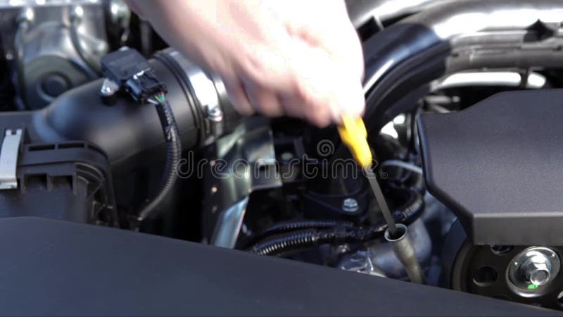 Checking the Oil in a Car with the Dipstick. Stock Video - Video of ...