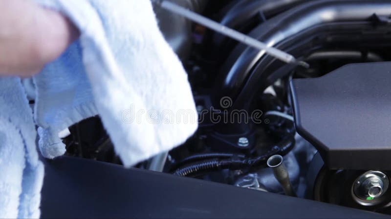 Checking the Oil in a Car with the Dipstick. Stock Footage - Video of ...