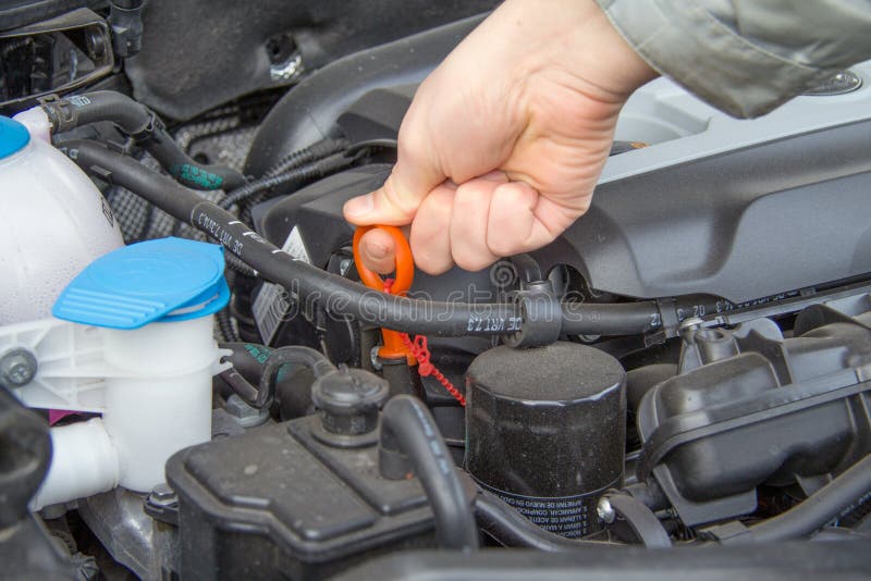 Checking the oil stock image. Image of machine, cars - 30299401