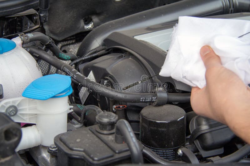 Checking the oil stock photo. Image of cars, engine, repair - 30299424