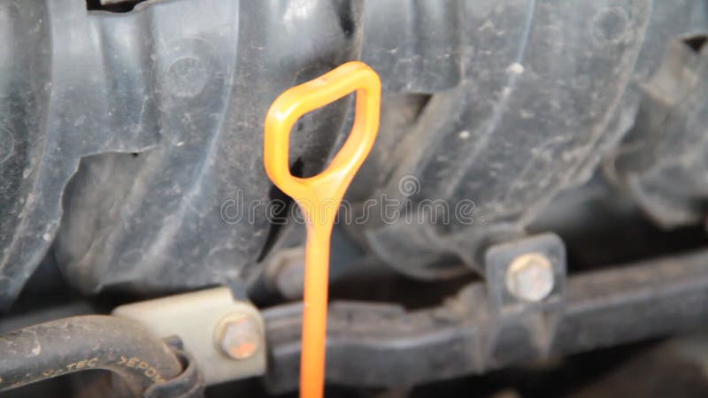 Checking Oil Leve Car Engine Stock Footage - Video of surface ...