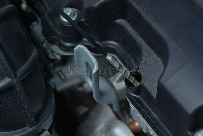 Checking oil level stock photo. Image of dipstick, inspecting - 38916416
