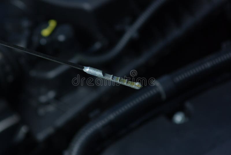 Checking oil level stock photo. Image of inspection, control - 38916426