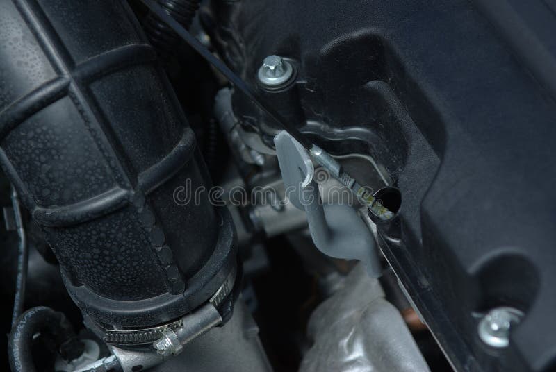 Checking oil level stock image. Image of check, measuring - 38916427