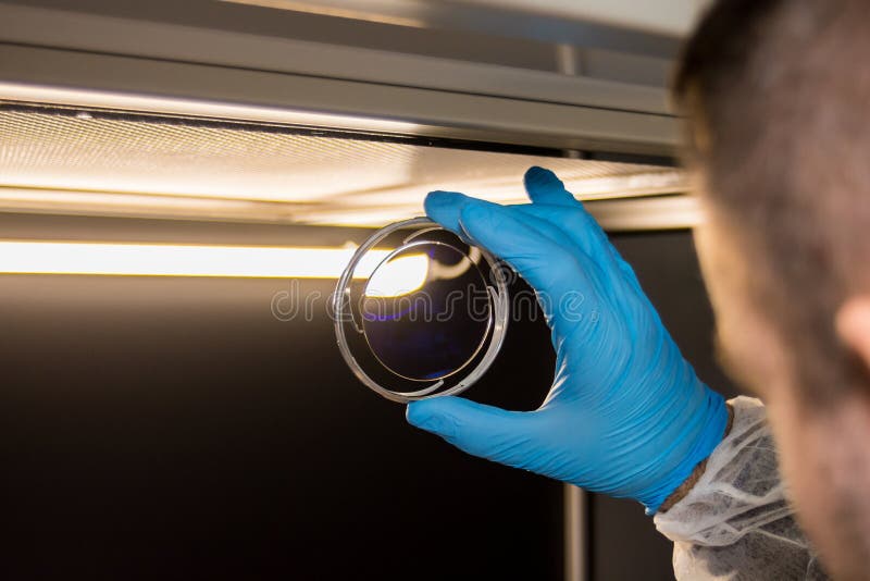 Checking optical lenses stock photo. Image of optics - 105602758