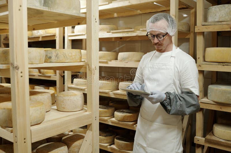 Checking Quality of Aging Cheese in Storage Facility Stock Photo ...