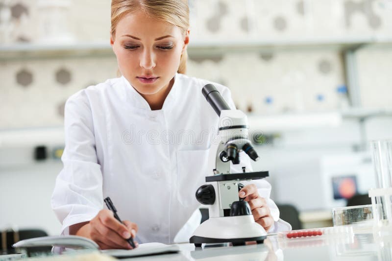 Checking the results. stock image. Image of chemistry - 58519431
