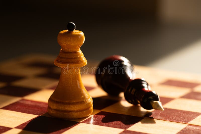 Checkmate by the Queen Piece. Blacks Gave Up Stock Photo - Image of ...