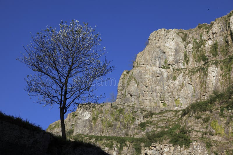Cheddar Gorge stock image. Image of rocks, somerset, geological - 29596907