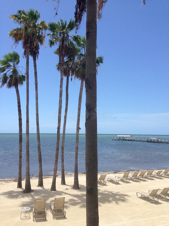 Cheeca lodge stock image. Image of florida, cheeca, keys - 51055261