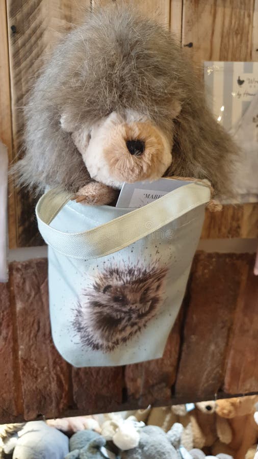 Cheeky Hedgehog Stock Photos - Free & Royalty-Free Stock Photos from ...