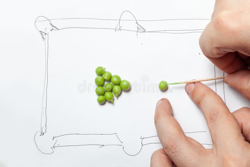 Cheerful Billiards from Green Peas Stock Photo - Image of flat, joke ...