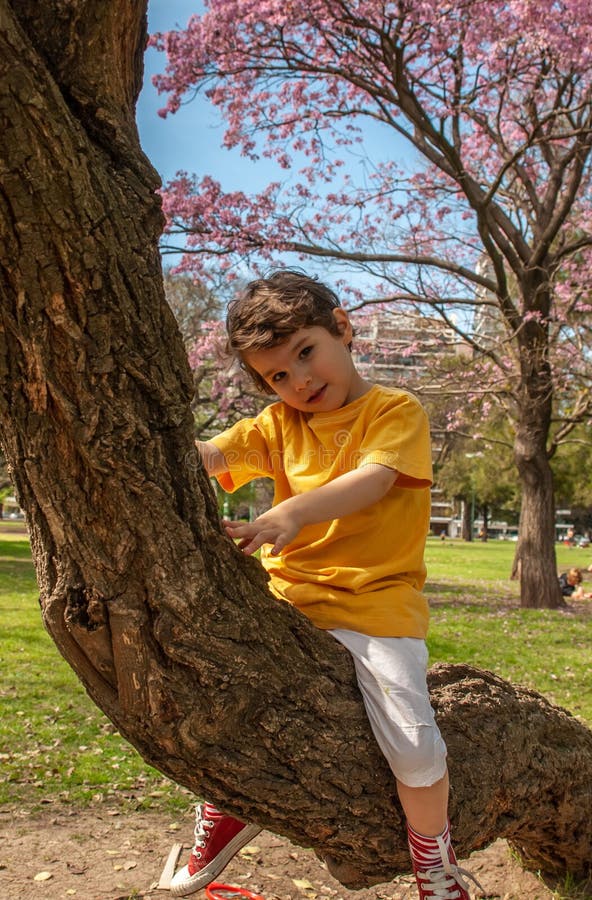 Cheerful Boy Sitting on a Tree in the Park Stock Image - Image of life ...