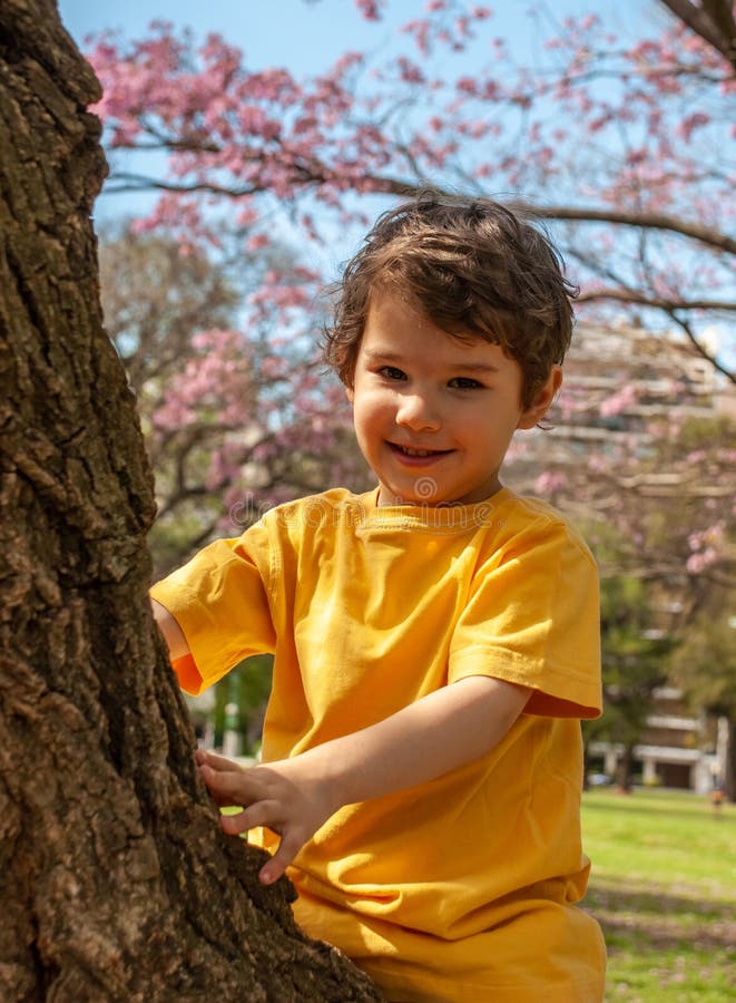 Cheerful Boy Sitting on a Tree in the Park Stock Photo - Image of rural ...