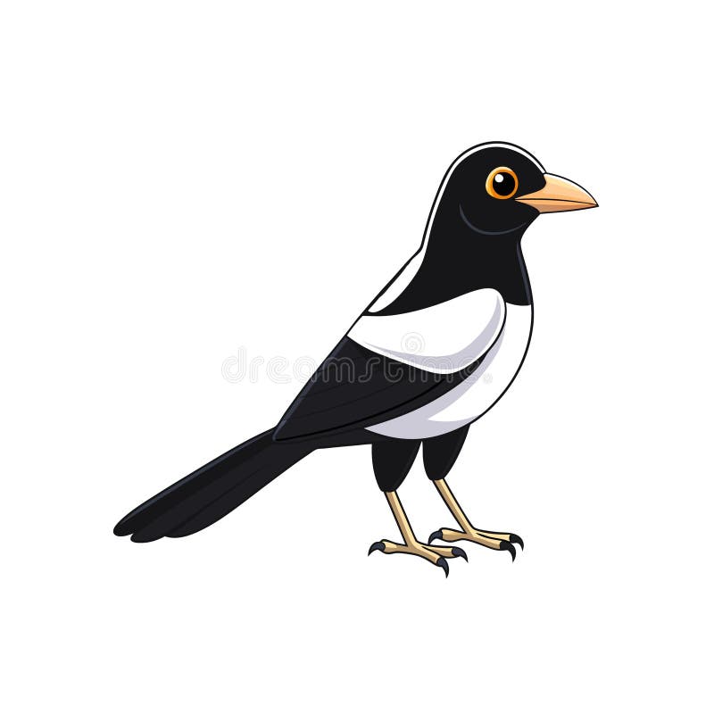 Cartoon Illustration of a Magpie Bird Standing Sideways Pose Stock ...