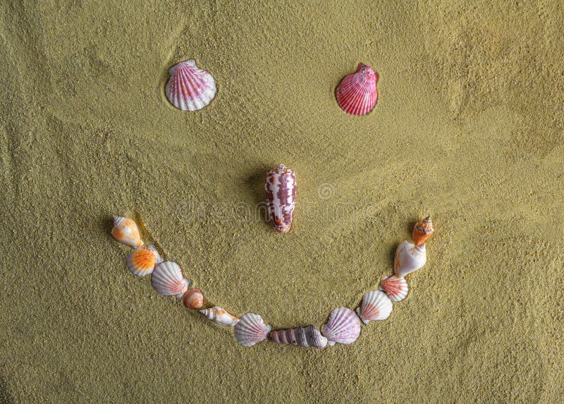 Smiley from Seashells on the Sand. Stock Photo - Image of sunny ...