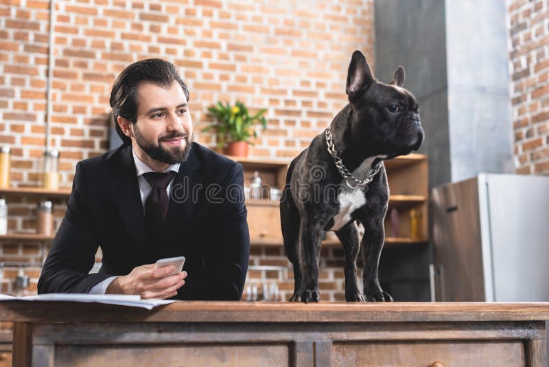 Cheerful Handsome Loner Businessman Looking at Dog Stock Image - Image ...