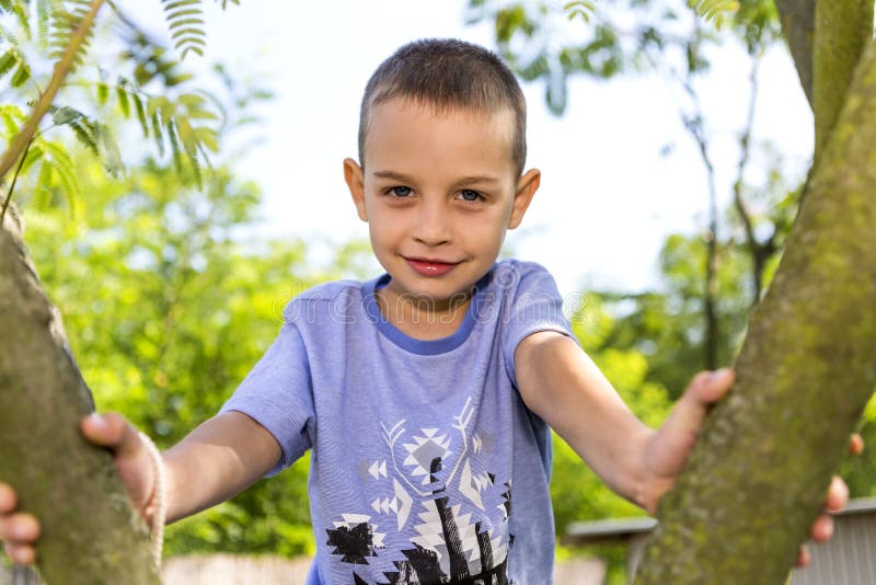 The Cheerful Little Boy Climbed the Tree. Stock Image - Image of ...