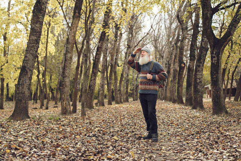 Old Man with Beard in Forest Stock Image - Image of backpack, elderly ...