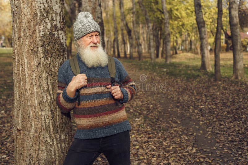 Old Man with Beard in Forest Stock Photo - Image of mature, hiker ...