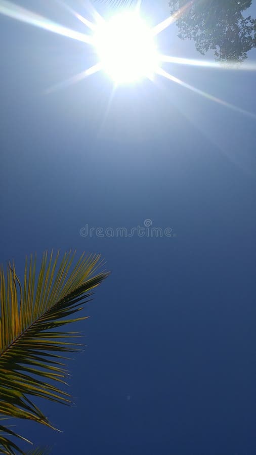 Cheerful sky stock photo. Image of cheerful, white, palm - 114730644