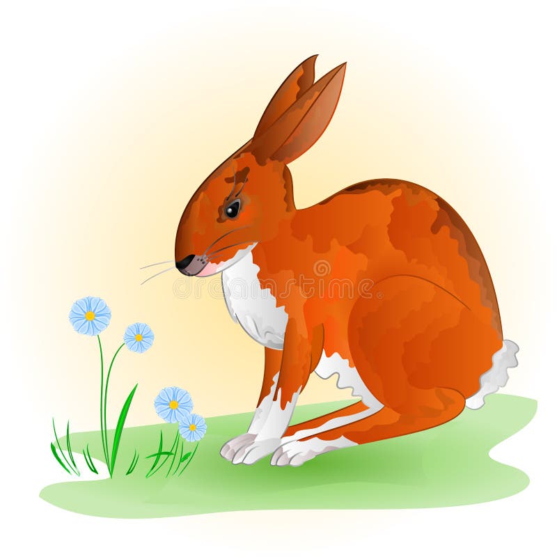 Cheerful Spring Bunny Vector Stock Vector - Illustration of cartoon ...