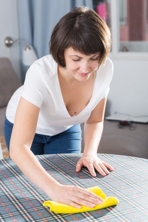 Cheerful Woman Doing Housework Stock Image - Image of kitchen, banal ...