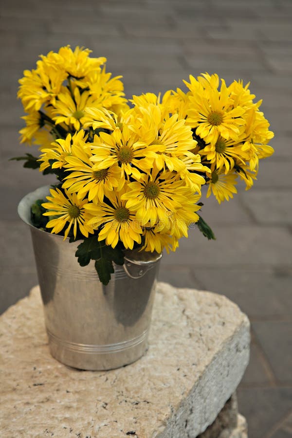 Cheerful Yellow Flowers in a Bucket Stock Image - Image of yellow ...