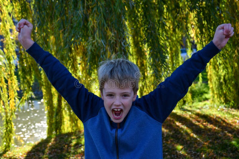 183 Fan Willow Stock Photos - Free & Royalty-Free Stock Photos from ...