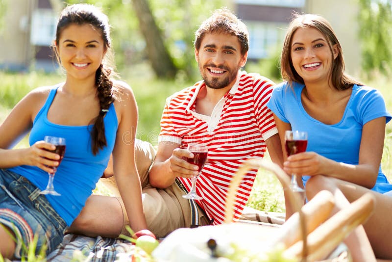 Cheering friends stock photo. Image of circle, champagne - 7335044