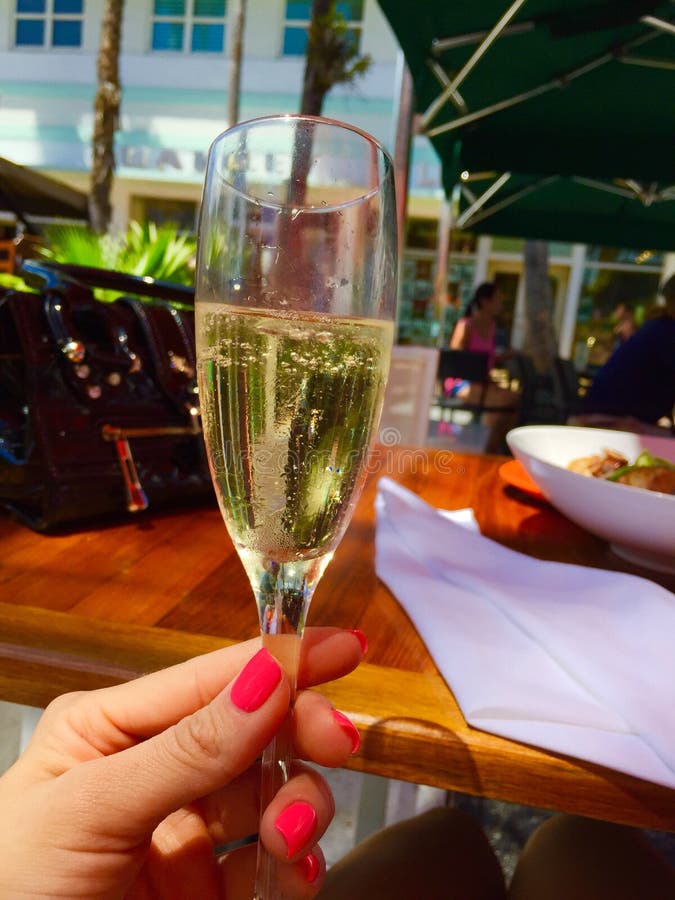 Cheers image stock. Image du épouse, diner, cheers, fixation - 105710499