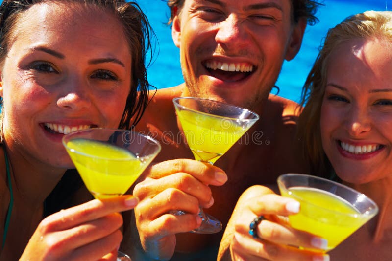 Cheers! stock photo. Image of party, laughing, happy, caucasian - 3358486