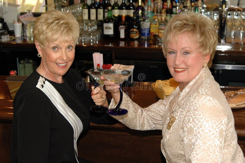 Cheers in bar stock image. Image of drink, gossip, cheers - 1344775