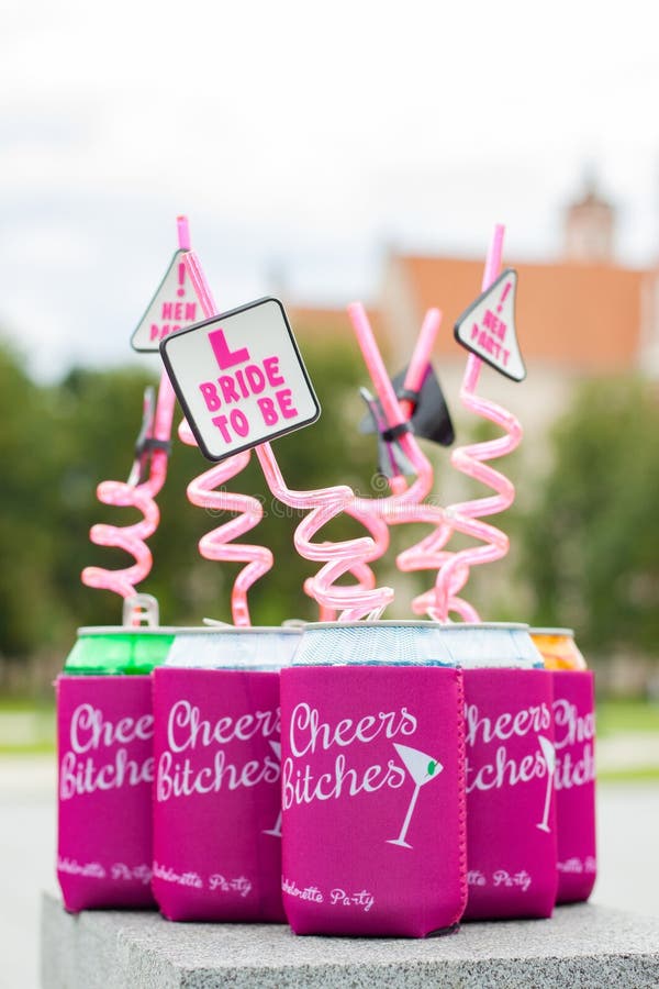 Cheers for bride team stock photo. Image of celebration - 343640602