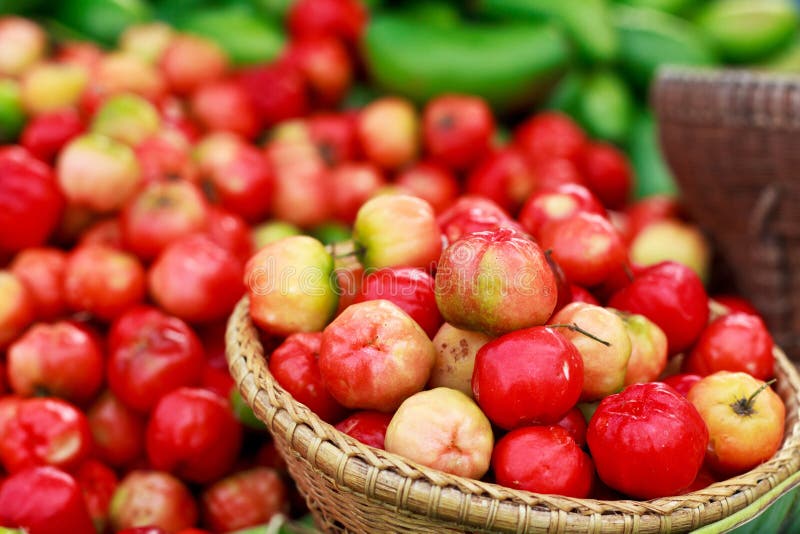 Cheery fruit stock photo. Image of color, fruit, herb - 21286614