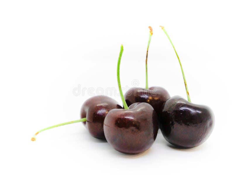 206 Cheery Backgrounds Stock Photos - Free & Royalty-Free Stock Photos ...