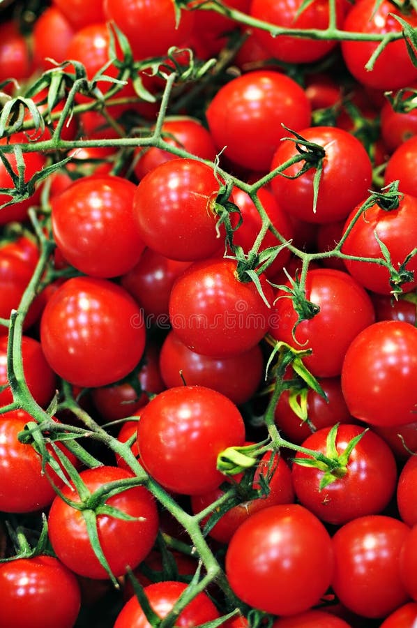 Cheery tomatoes stock photo. Image of macro, organic - 27601004