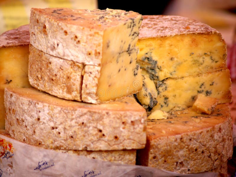 Cheese stock photo. Image of color, cheese, ingredients - 1669374