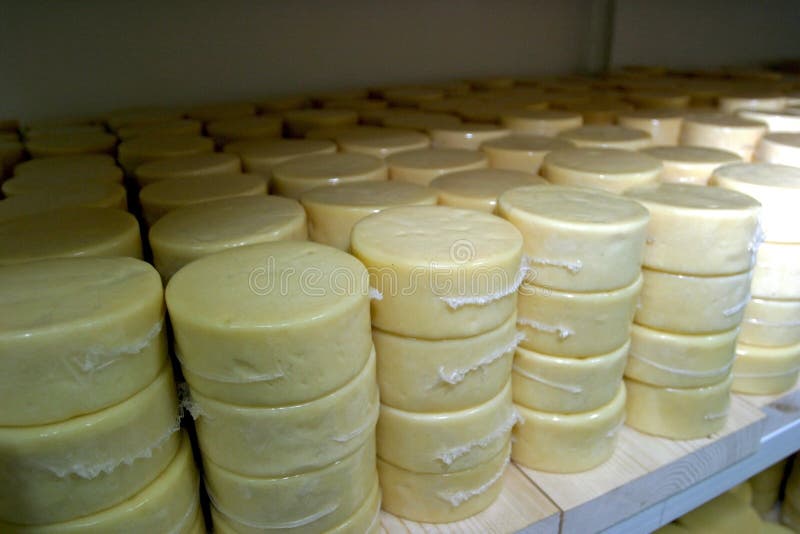 Packed Cheese On Weight Scale In Store Stock Image - Image of detail ...