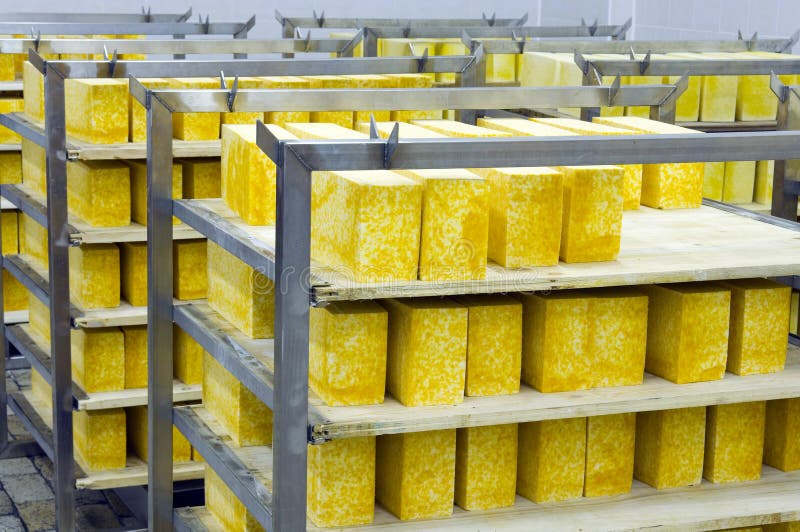 Cheese stock photo. Image of yellow, cheese, process - 16840842
