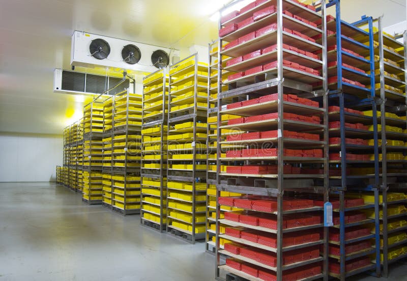 Cheese storage in dairy stock image. Image of storage - 1916145