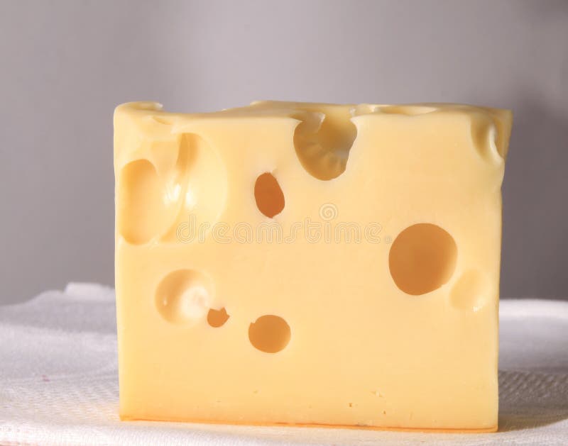 Dogs Kennel stock image. Image of architectural, english - 8818919